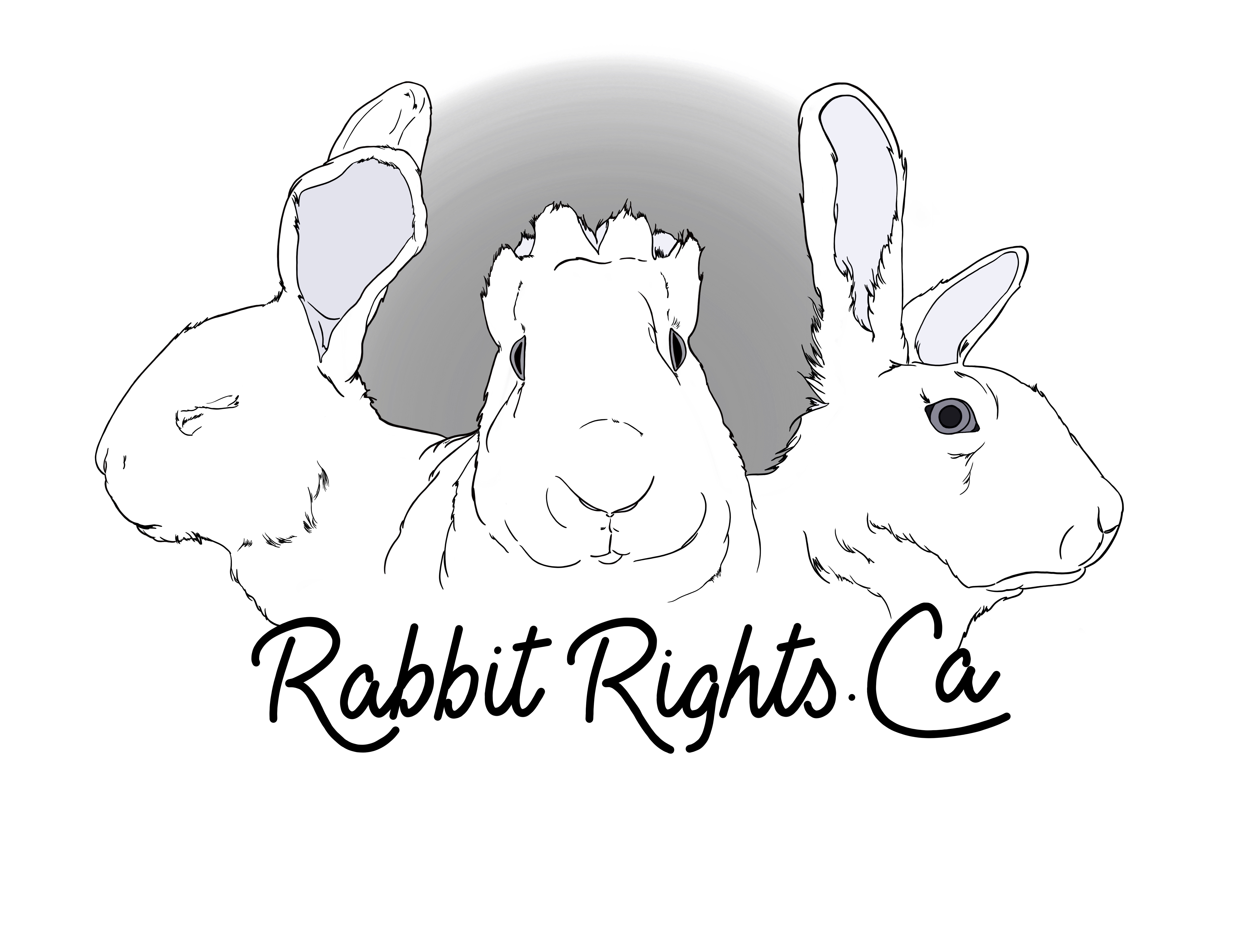 THE FUR INDUSTRY – Rabbit Rights